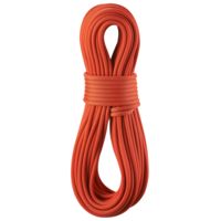 Edelrid Eagle Light Pro Dry 9.5mm Dynamic Ropes — CampSaver