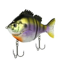 Fish Lab Bio-Gill 2 Piece Hard Glide Bait, Suspending Action, VMC Hooks ...