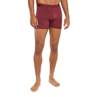 Icebreaker Merino 150 Anatomica Boxers wFly - Men's , Up to 19% Off ...