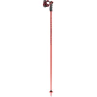 Leki Detect S Ski Poles — CampSaver