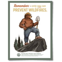 The Landmark Project Only You Poster — CampSaver