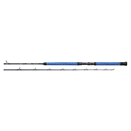 Daiwa Proteus WN Casting Rod — CampSaver