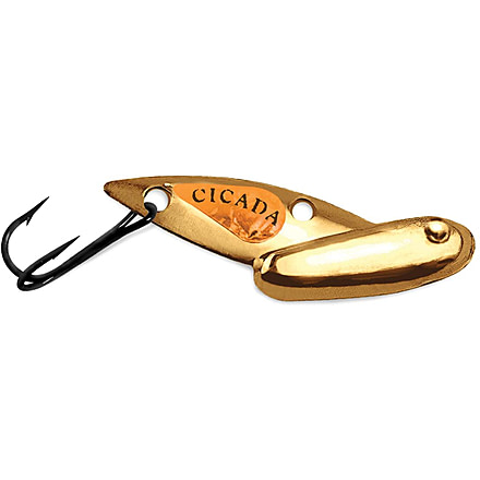 Reef Runner Cicada Tungsten — CampSaver