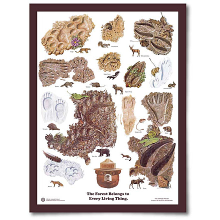 The Landmark Project Animal Tracks Educational Poster — CampSaver