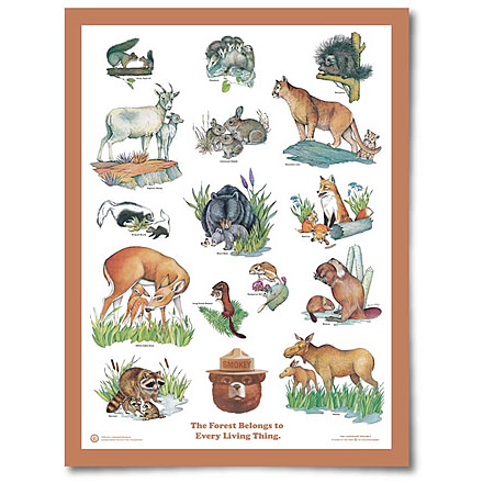 The Landmark Project Baby Animals Educational Poster — CampSaver