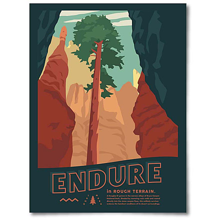 The Landmark Project Endure Rough Terrain Poster — CampSaver