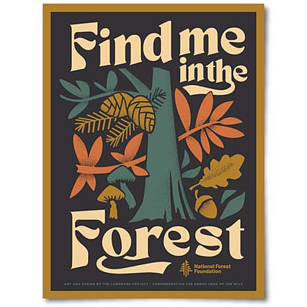 The Landmark Project Find Me in the Forest Poster — CampSaver