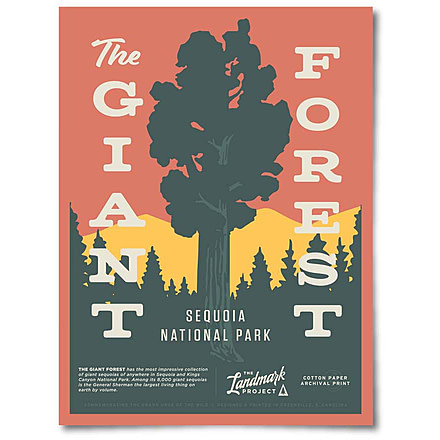 The Landmark Project Giant Forest Poster — CampSaver