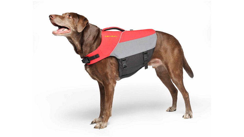 Astral Bird Dog PFD — CampSaver