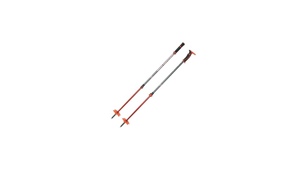 Backcountry Access Scepter Aluminum Backcountry Poles — CampSaver