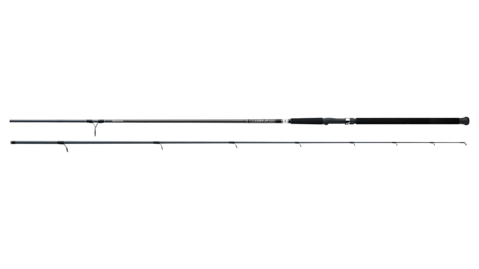 Daiwa Emcast Surf Casting Rod — CampSaver