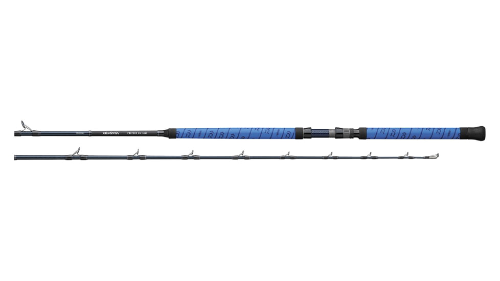 Daiwa Proteus WN Casting Rod — CampSaver