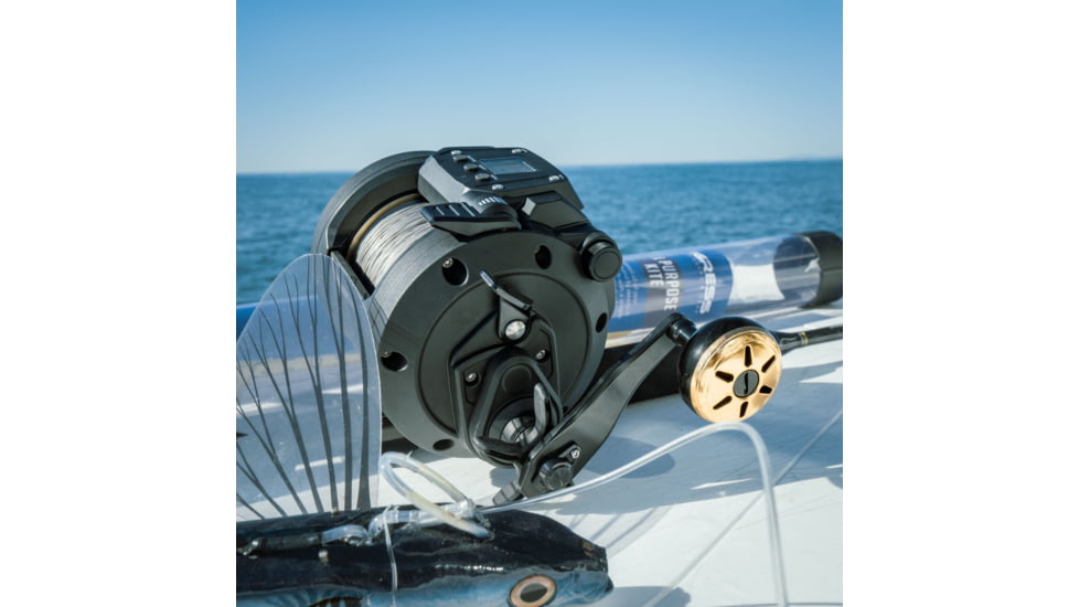 Daiwa Tanacom 800 Dendoh Reel — CampSaver