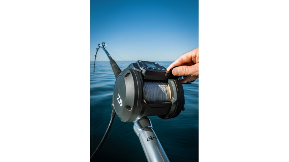 Daiwa Tanacom 800 Dendoh Reel — CampSaver