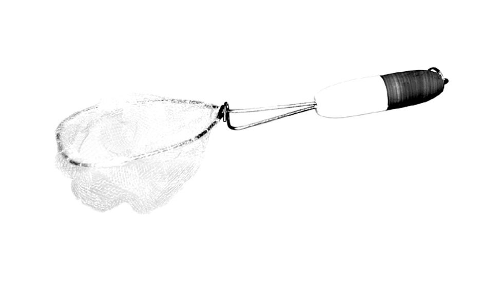 Eagle Claw Minnow Dip Net — CampSaver