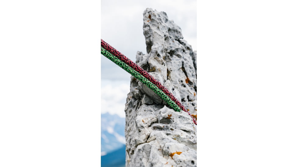 Edelrid Swift Protect Pro Dry 8.9 Dynamic Rope — CampSaver