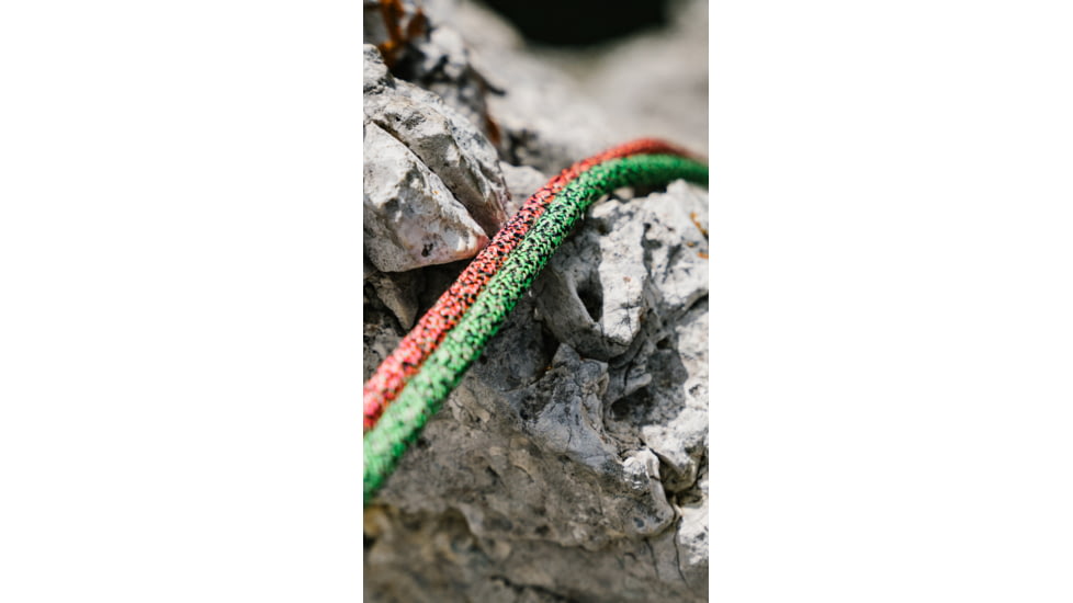 Edelrid Swift Protect Pro Dry 8.9 Dynamic Rope — CampSaver