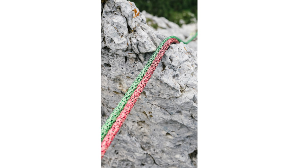 Edelrid Swift Protect Pro Dry 8.9 Dynamic Rope — CampSaver