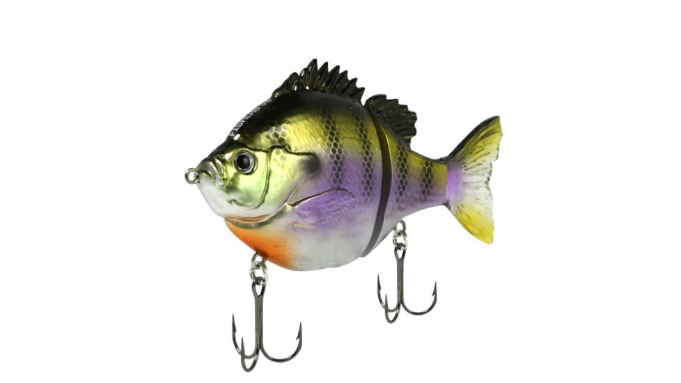 Fish Lab Bio-Gill 2 Piece Hard Glide Bait, Suspending Action, VMC Hooks ...