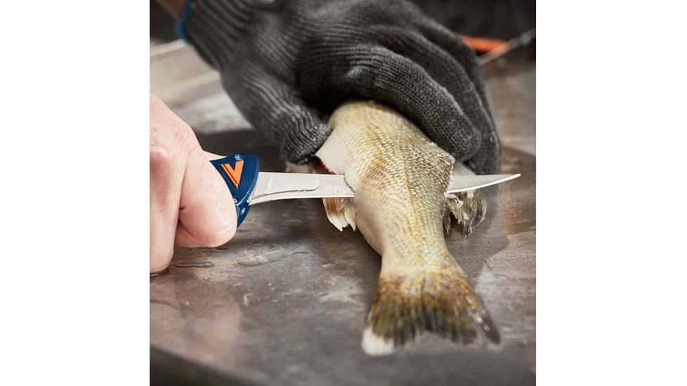 Havalon Talon Fish Interchangeable Fixed Blade Knife Set — CampSaver