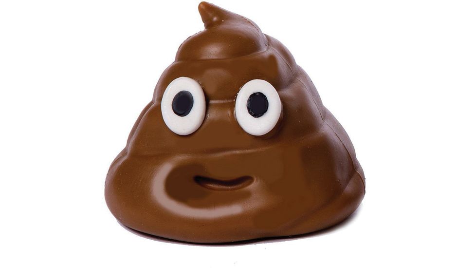 Hog Wild Sticky The Poo — CampSaver