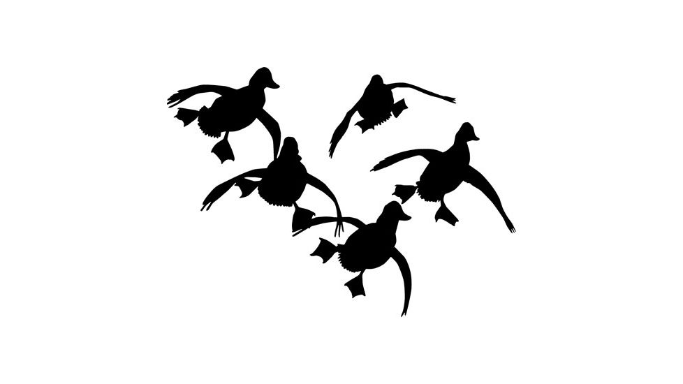 Outdoor Decals Jukin Ducks 6"x6" White — CampSaver