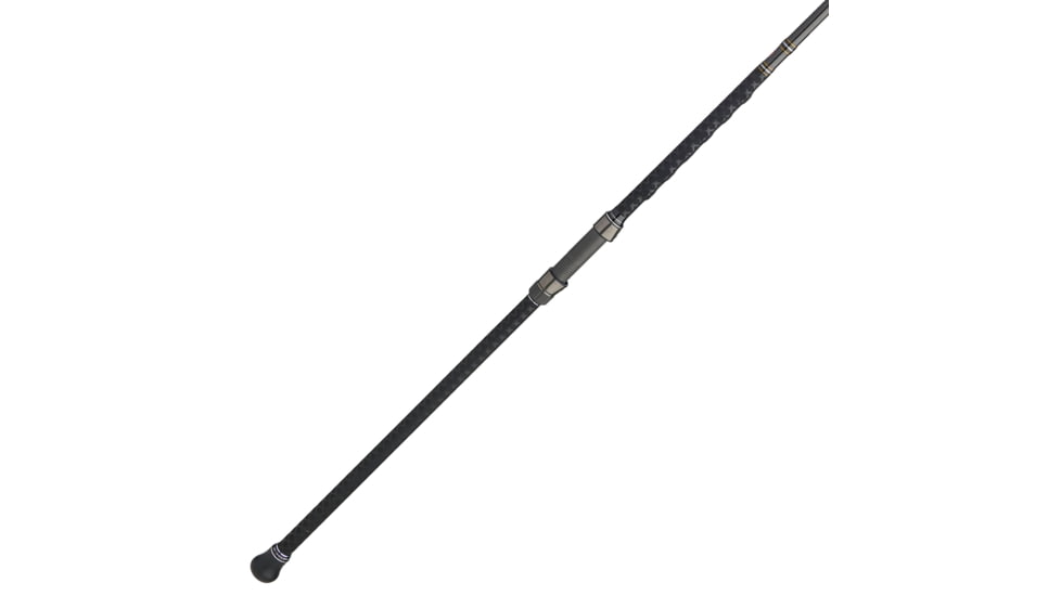 Penn Fishing Carnage III Surf Spinning Rod — CampSaver