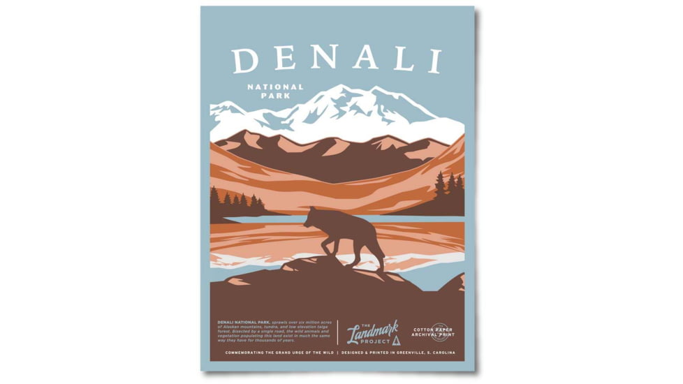 The Landmark Project Denali National Park Poster — CampSaver