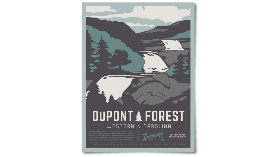 The Landmark Project Dupont State Forest Poster — CampSaver