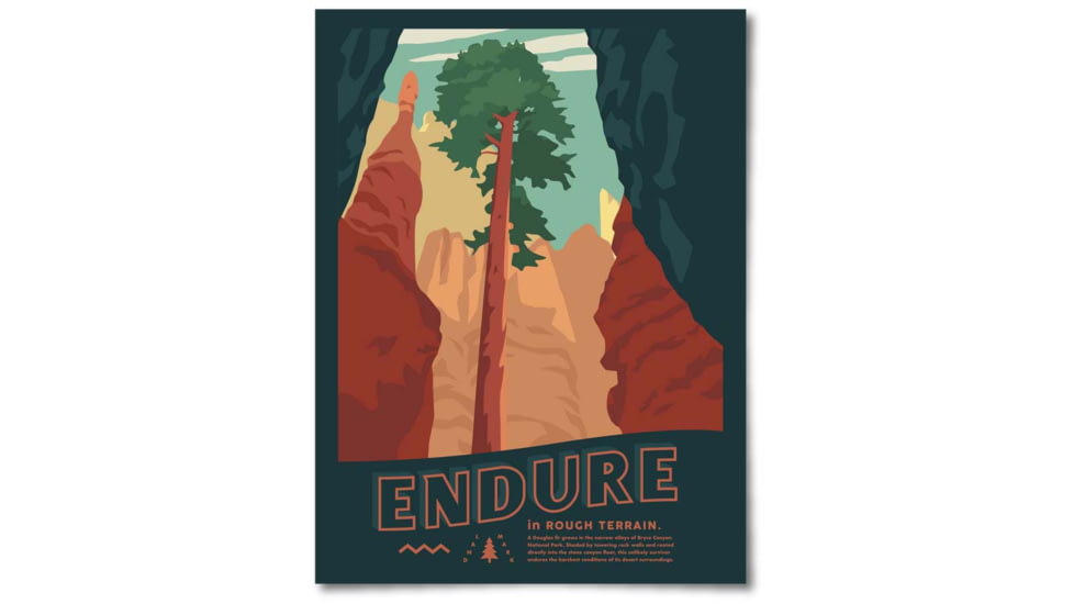 The Landmark Project Endure Rough Terrain Poster — CampSaver