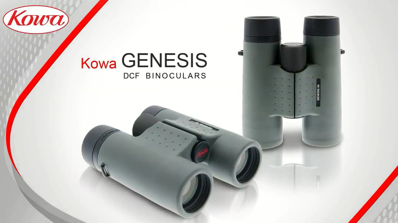 Kowa Genesis 33 10x33mm Roof Prism Prominar XD Binoculars GN33-10 ...