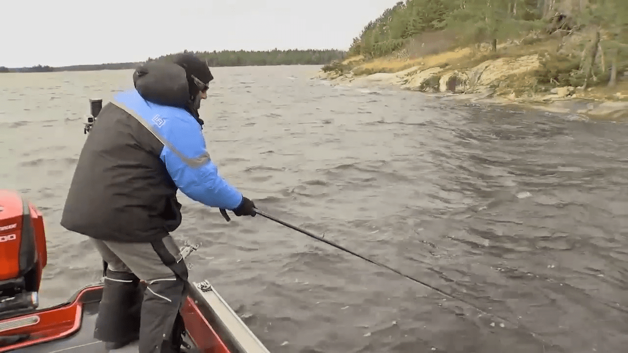 Livingston Lures Livingston Bullet Predator Lures — CampSaver