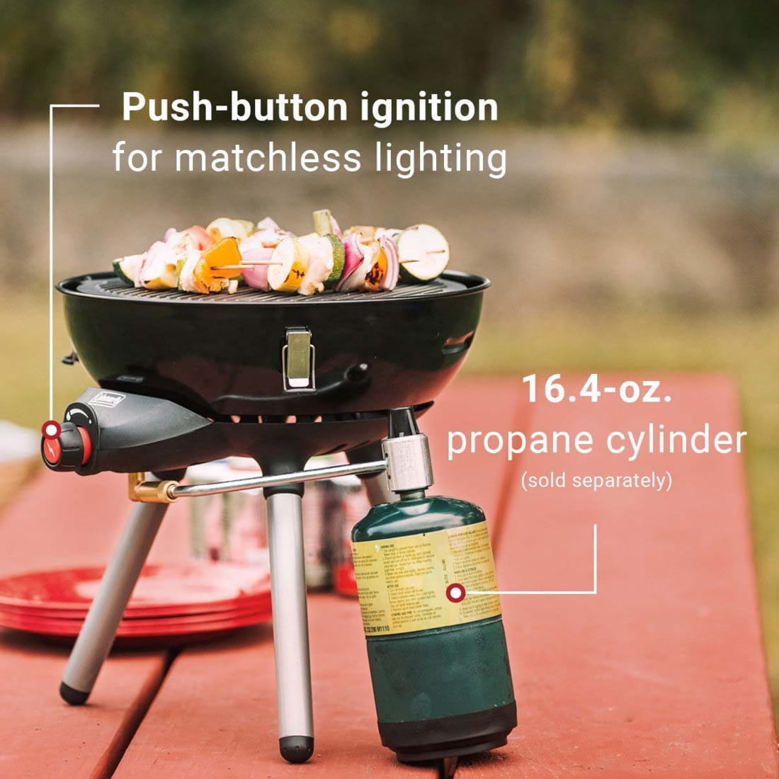 Coleman 4-in-1 Portable Propane Gas Cooking System — CampSaver