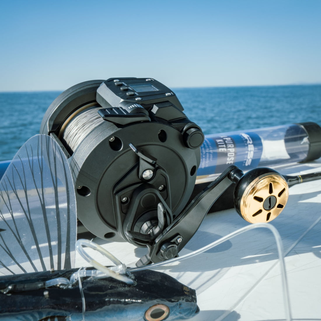 Daiwa Tanacom 800 Dendoh Reel — CampSaver
