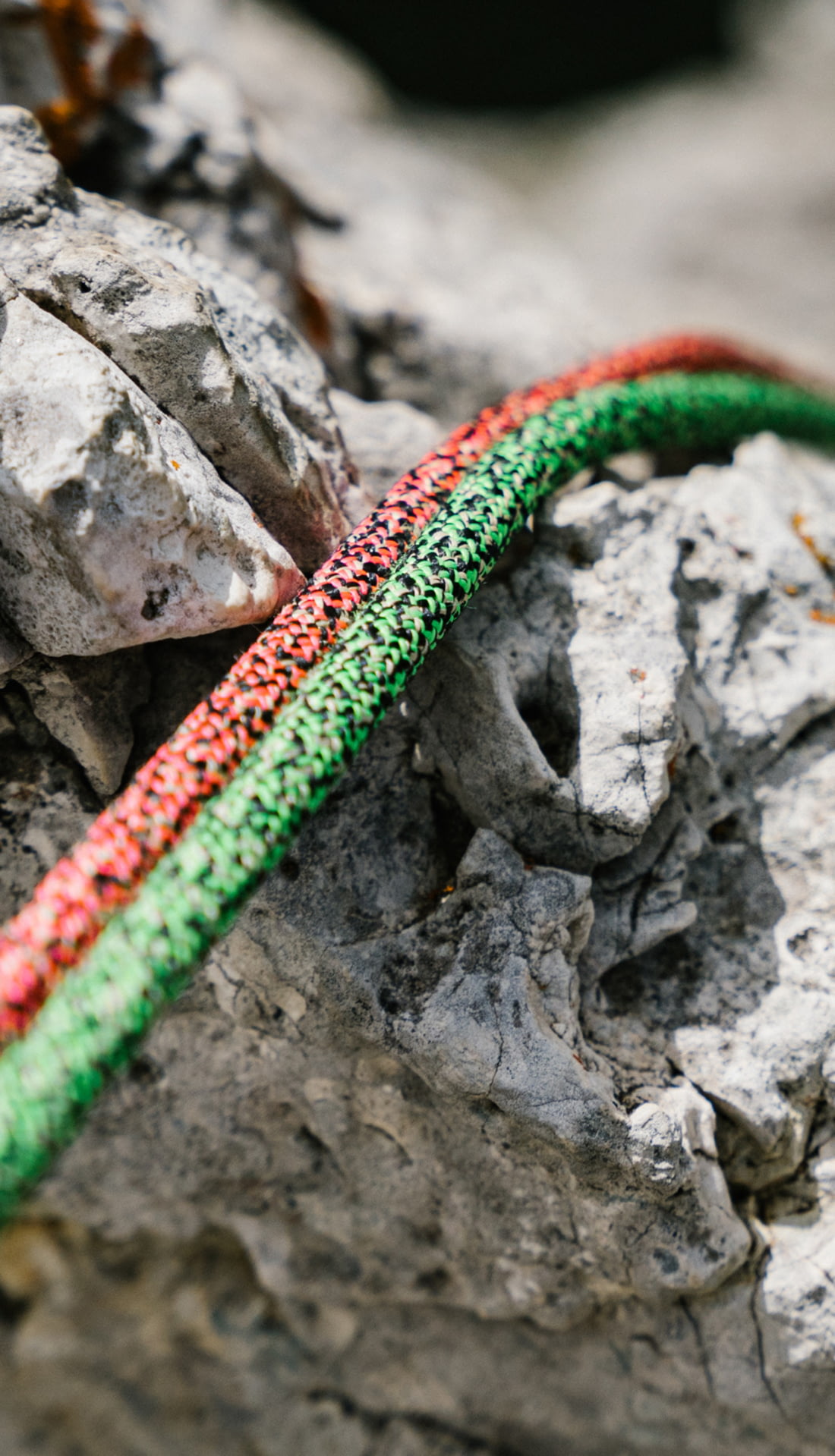 Edelrid Swift Protect Pro Dry 8.9 Dynamic Rope — CampSaver