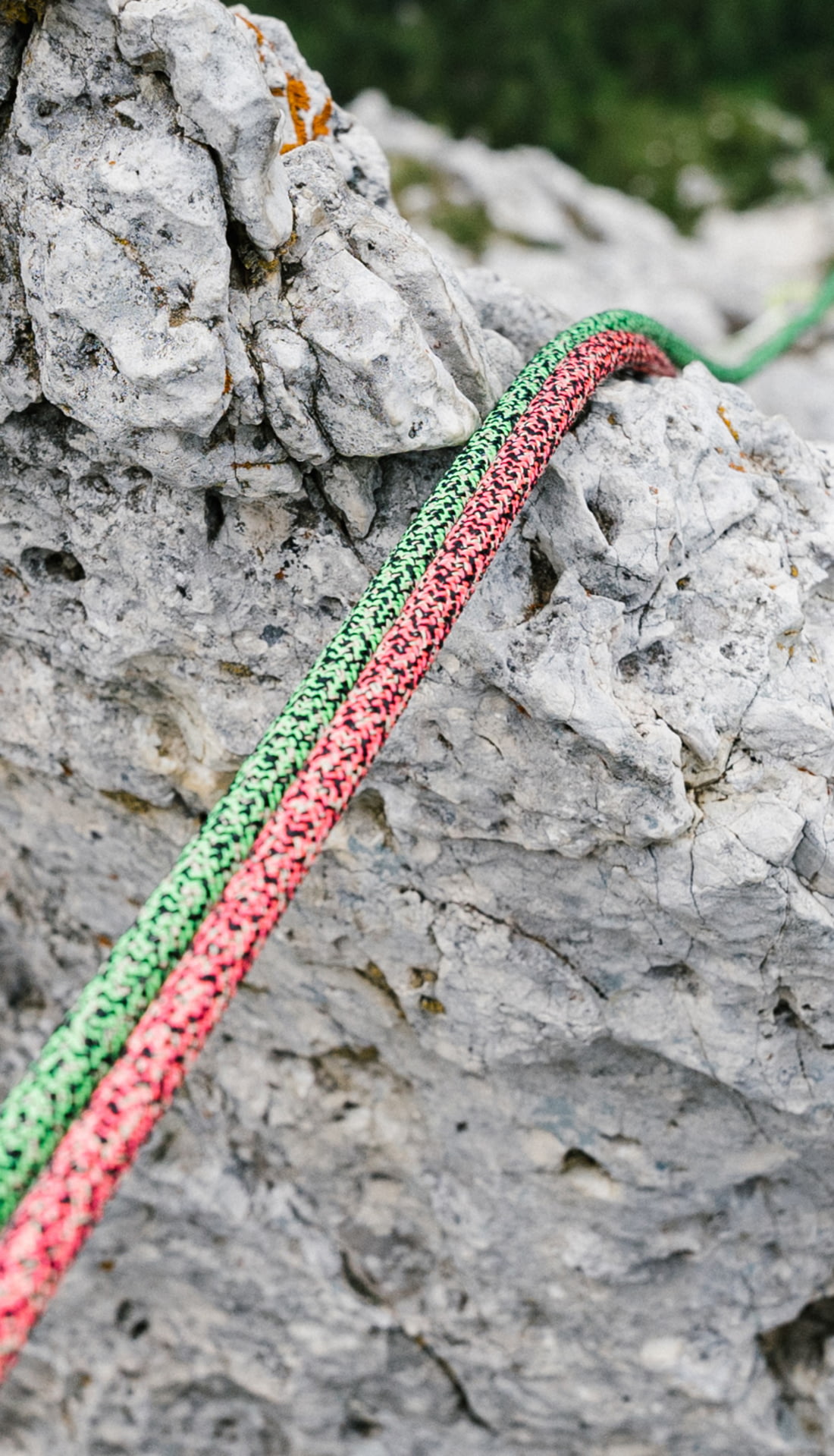 Edelrid Swift Protect Pro Dry 8.9 Dynamic Rope — CampSaver