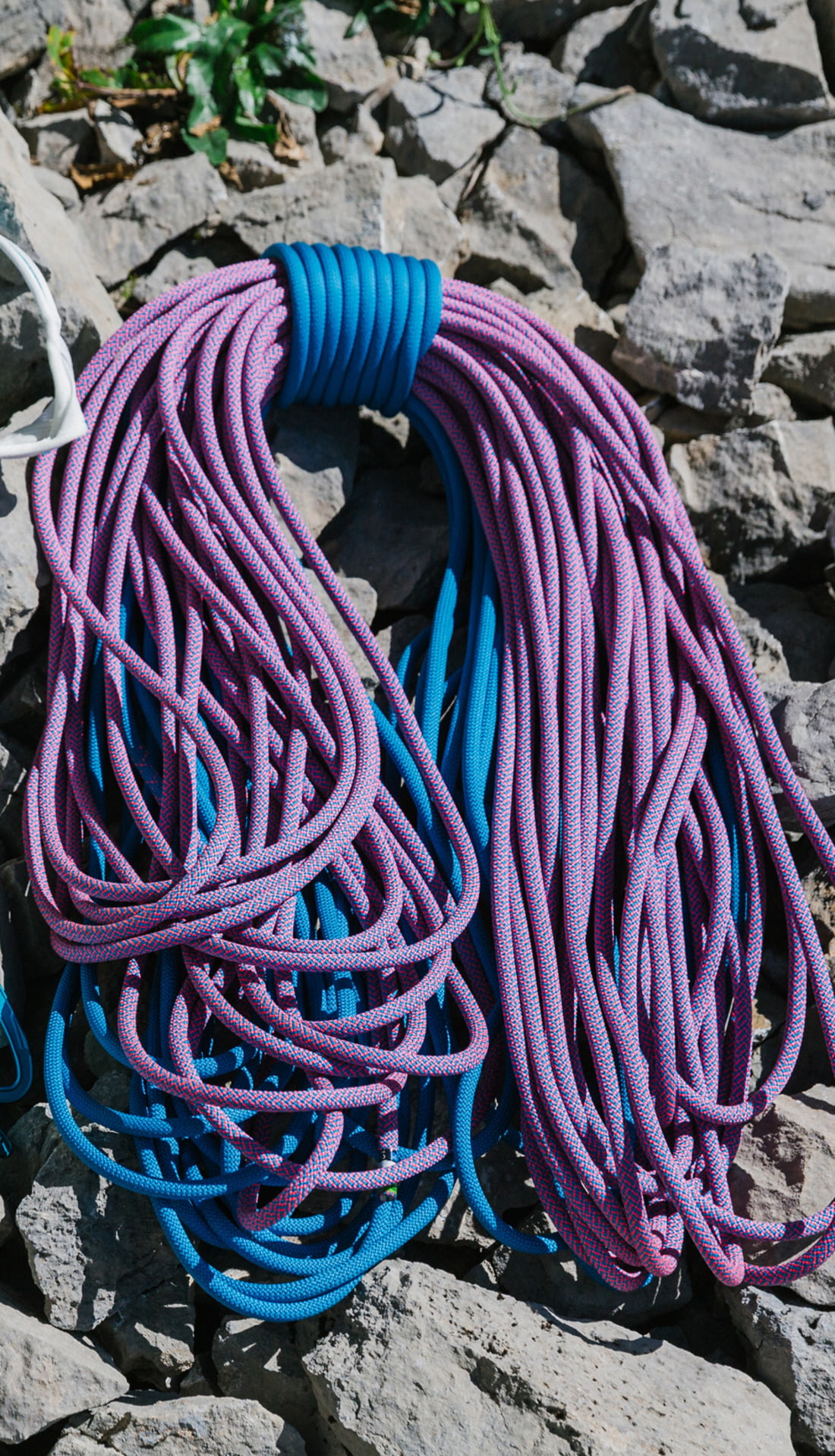 Edelrid Tommy Caldwell Eco Dry ColorTec 9.3mm Rope — CampSaver