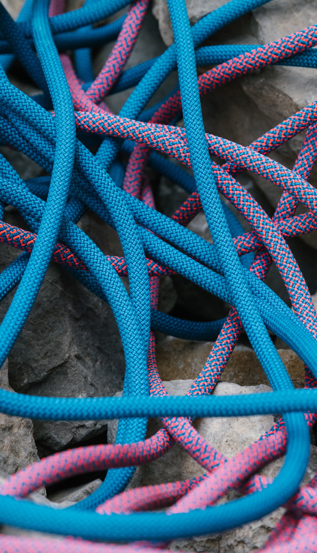 Edelrid Tommy Caldwell Eco Dry ColorTec 9.3mm Rope — CampSaver
