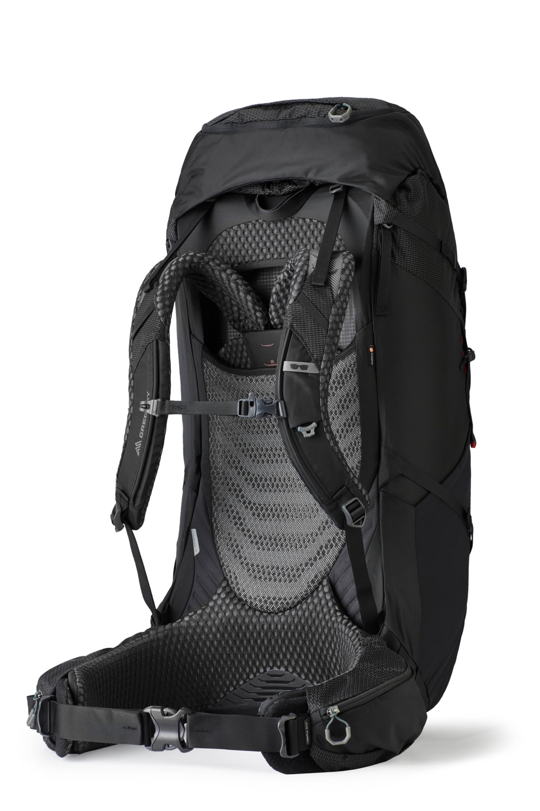 Gregory Baltoro 100 Pro Backpack with Free S&H — CampSaver