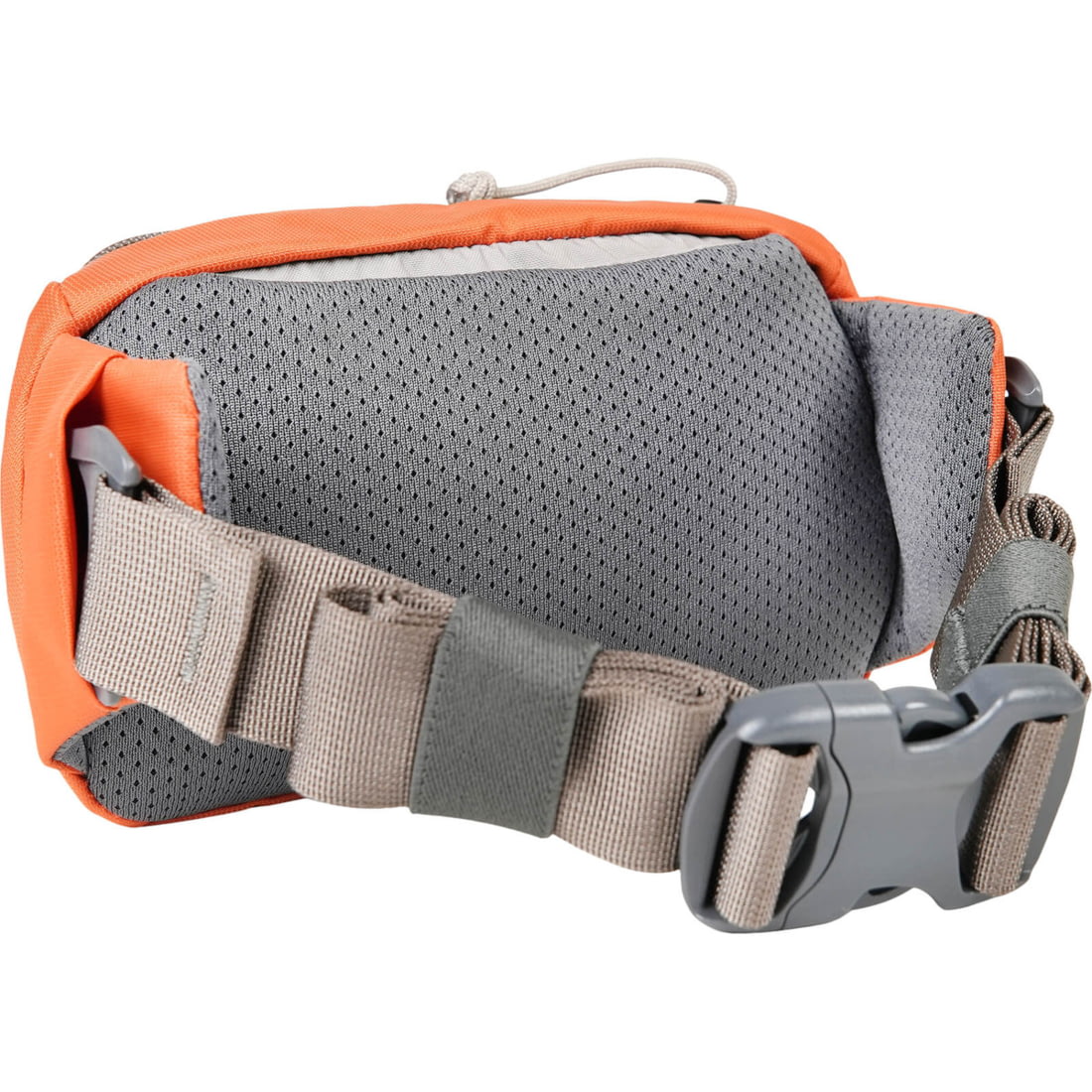 Mystery Ranch Forager Hip Mini Waistpack — CampSaver