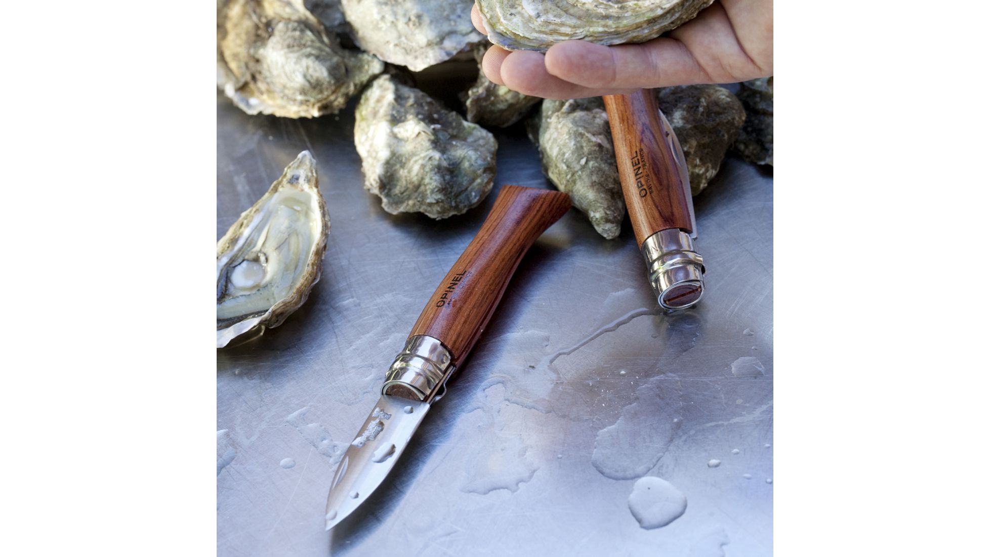 Opinel Oyster and Shellfish Folding Knife, 2.5in — CampSaver