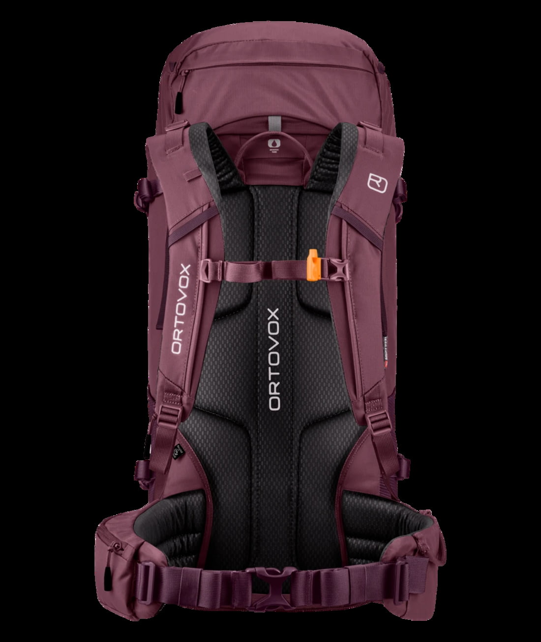 Ortovox Peak 35 Backpack , Up to 32% Off with Free S&H — CampSaver