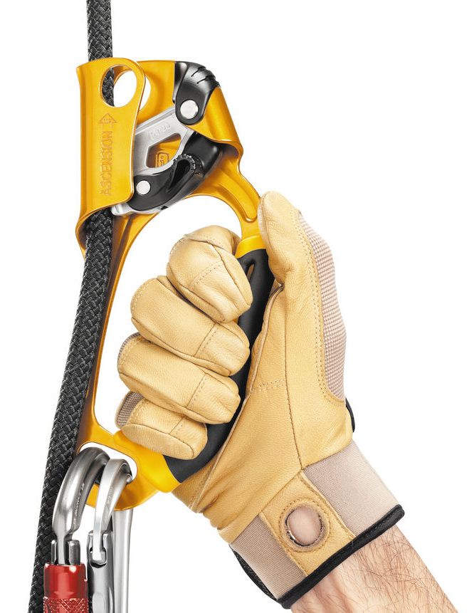 Petzl Ascension Ascender/Rope Clamp with Free S&H — CampSaver